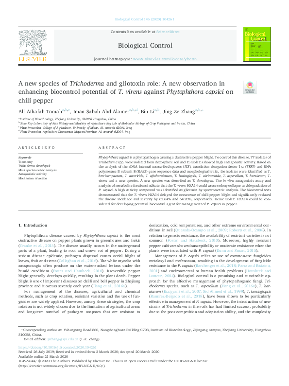 (PDF) A new species of Trichoderma and gliotoxin role: A new observation in enhancing biocontrol ...