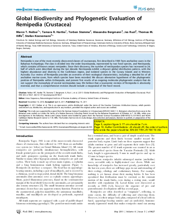 (PDF) Global Biodiversity and Phylogenetic Evaluation of Remipedia ...