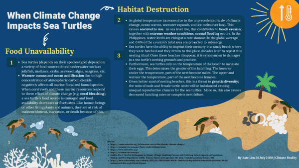 (PDF) POSTER | When Climate Change Impacts Sea Turtles | Kate Lim ...