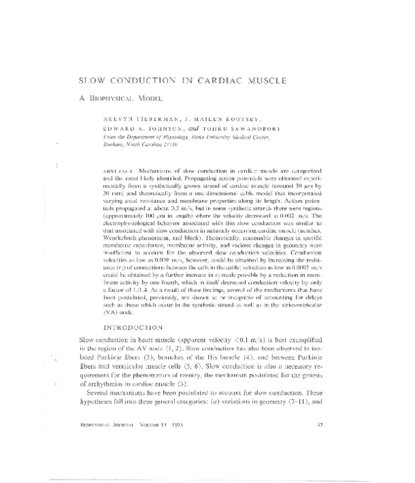 (PDF) SLOW CONDUCTION IN CARDIAC MUSCLE: A BIOPHYSICAL MODEL | J Mailen ...