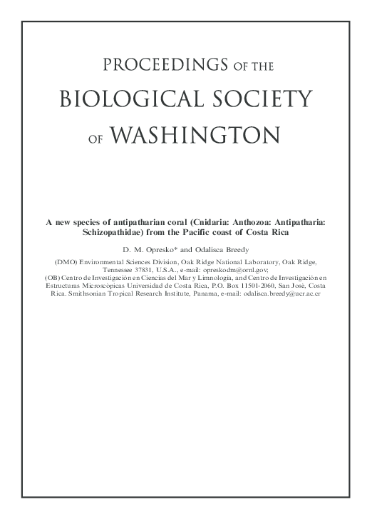 (PDF) A new species of antipatharian coral (Cnidaria: Anthozoa ...
