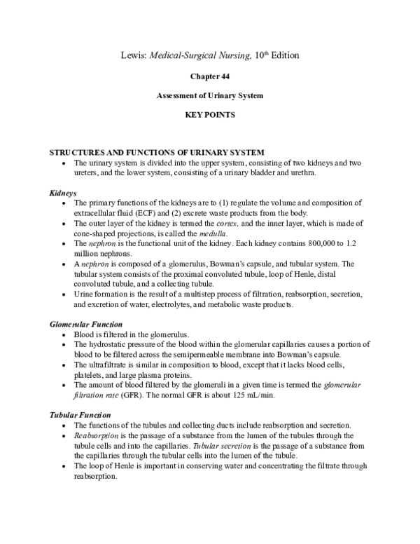Assessment of urinary system