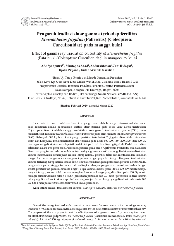 (PDF) Irradiation of mango