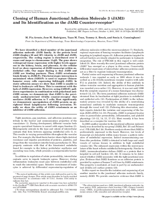 (PDF) JAM3 Cloning Reveals Its Role as JAM2 Counter-receptor