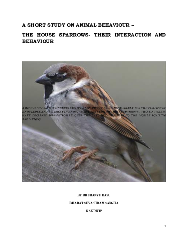 (PDF) A SHORT STUDY ON ANIMAL BEHAVIOUR - THE HOUSE SPARROWS-THEIR ...