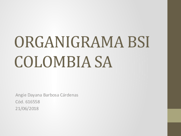 (PPT) ORGANIGRAMA BSI COLOMBIA SA