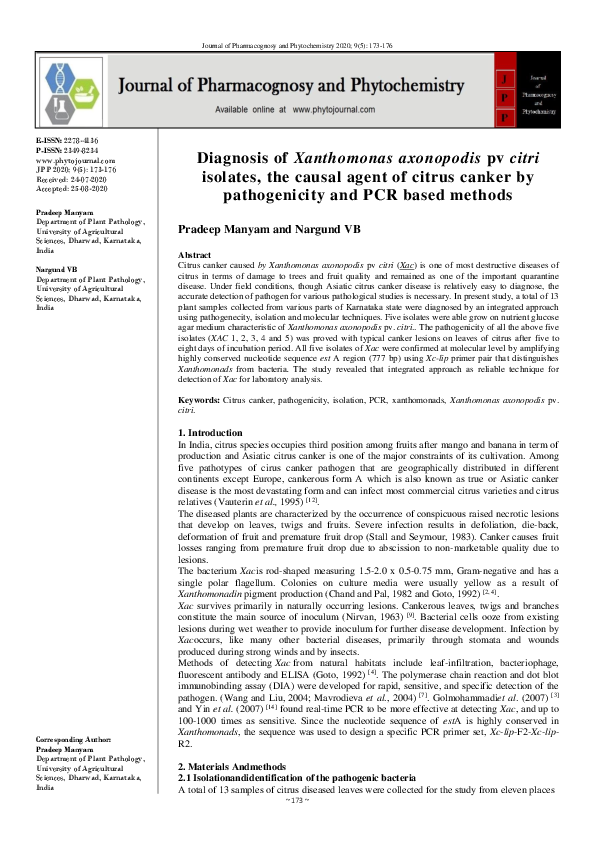 (PDF) Diagnosis of Xanthomonas axonopodis pv citri isolates, the causal ...