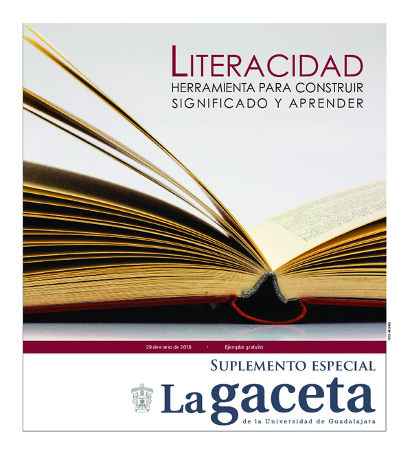 (PDF) Literacidad: herramienta para construir significado y aprender