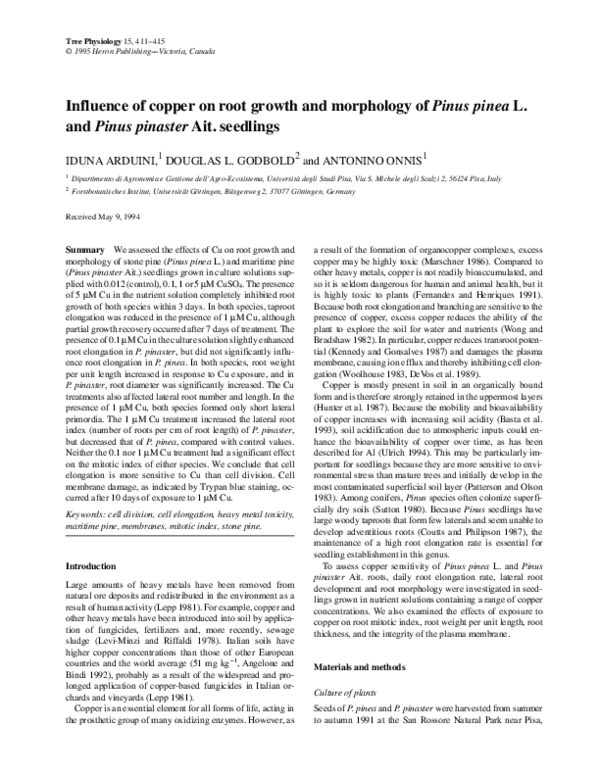 (PDF) Influence of copper on root growth and morphology of Pinus pinea ...