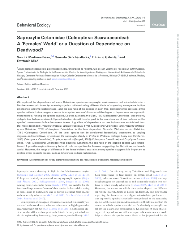 (PDF) 2020 Saproxylic Cetoniidae (Coleoptera: Scarabaeoidea): A ...