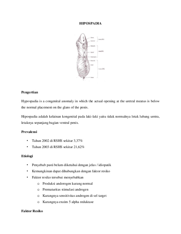 (PDF) HIPOSPADIA