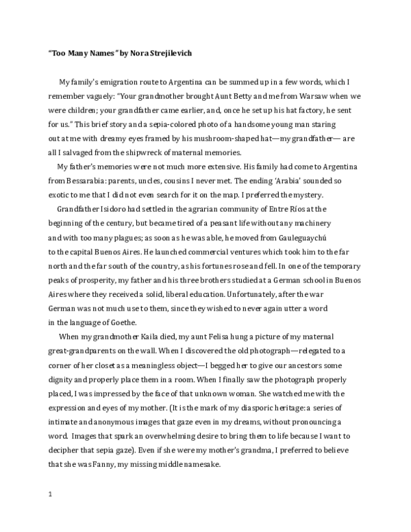 (PDF) "Too Many Names" by Nora Strejilevich