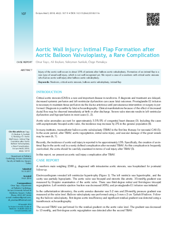 (PDF) Taşçı O, Baykan A, Sunkak S, Pamukçu Ö. Aortic Wall Injury ...