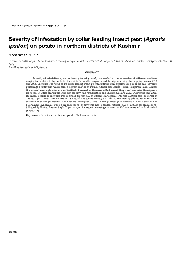 (PDF) Severity of infestation by collar feeding insect pest (Agrotis ...