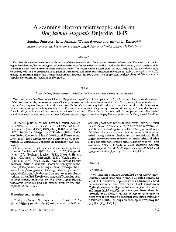 (PDF) A Scanning Electron Rnicroscopic Study on Dorylaimus Stagnalis ...