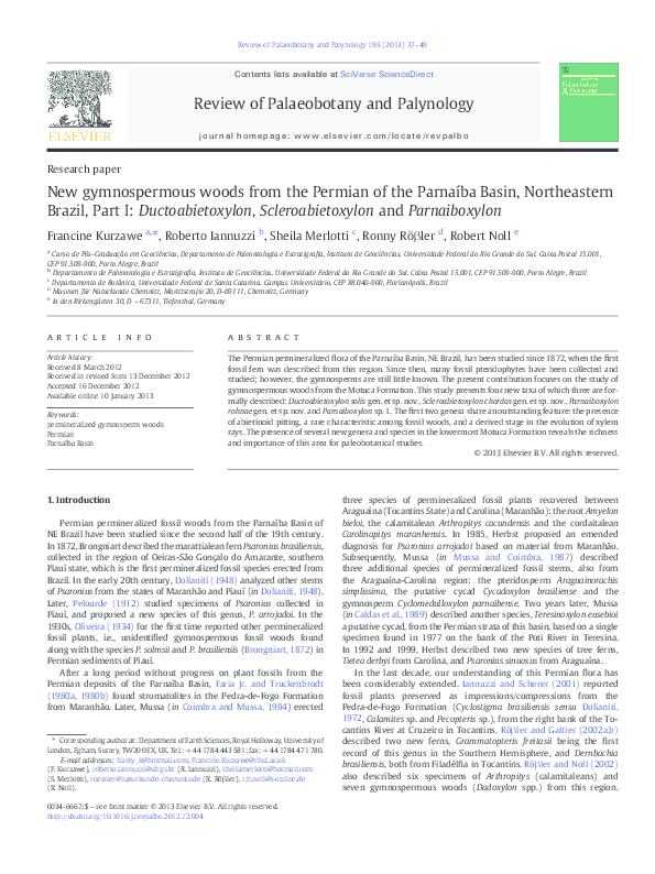 (PDF) New gymnospermous woods from the Permian of the Parnaíba Basin ...