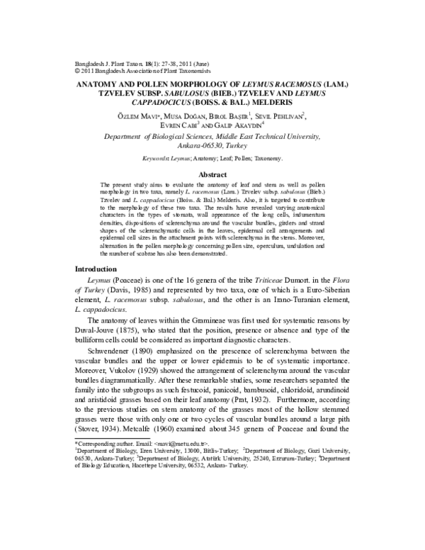 (PDF) Anatomy and pollen morphology of Leymus racemosus (Lam.) Tzvelev ...