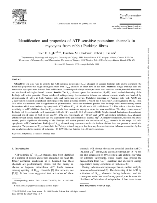 (PDF) Identification and properties of ATP-sensitive potassium channels ...