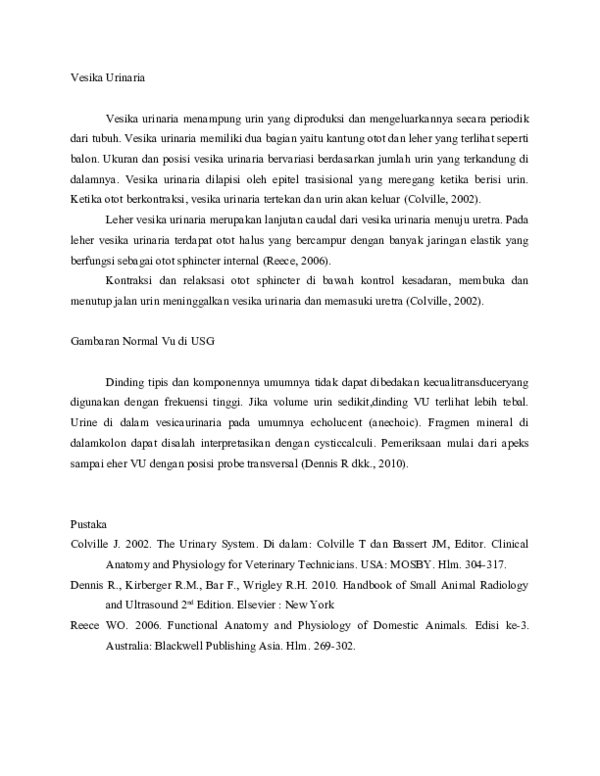 (DOC) Vesika Urinaria | Bachtiar Ari W - Academia.edu