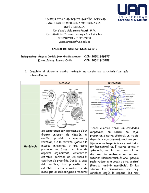 (PDF) GENERALIDADES DE LOS CESTODOS Y TREMATODOS: MORFOLOGÍA, SISTEMA RESPIRATORIO - DIGESTIVO ...