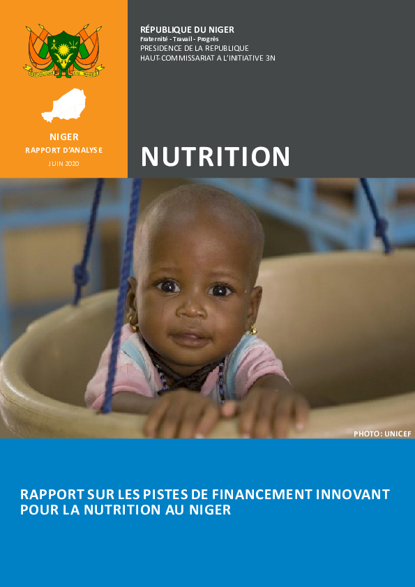 (PDF) NUTRITION NIGER RAPPORT D'ANALYSE RAPPORT SUR LES PISTES DE ...