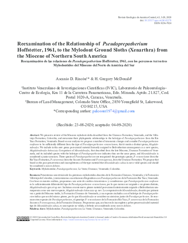 (PDF) Reexamination of the Relationship of Pseudoprepotherium ...