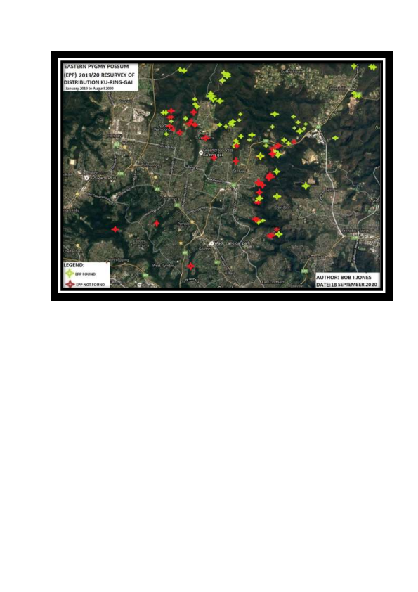 (PDF) Eastern Pygmy Possum Distribution Map Northern Sydney 2019 to end ...
