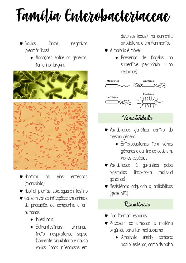 (PDF) 1 Familia Enterobacteriaceae