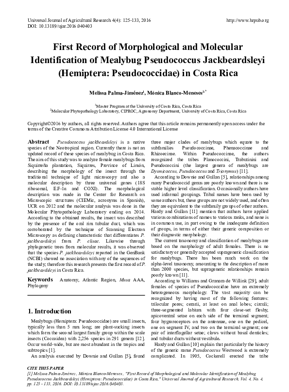 (PDF) First Record of Morphological and Molecular Identification of Mealybug Pseudococcus ...