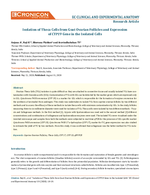 (PDF) Isolation of Theca Cells from Goat Ovarian Follicles and ...