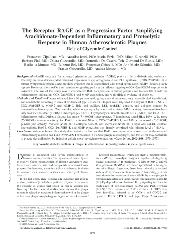 (PDF) The Receptor RAGE as a Progression Factor Amplifying Arachidonate ...