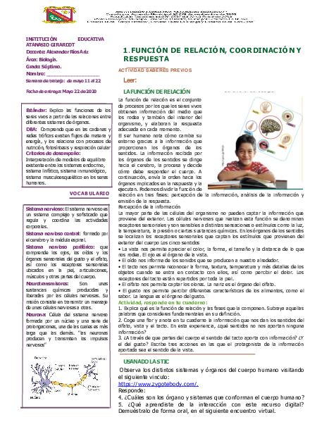(PDF) FUNCIÓN DE RELACIÓN, COORDINACIÓN Y RESPUESTA ACTIVIDAD SABERES PREVIOS Leer