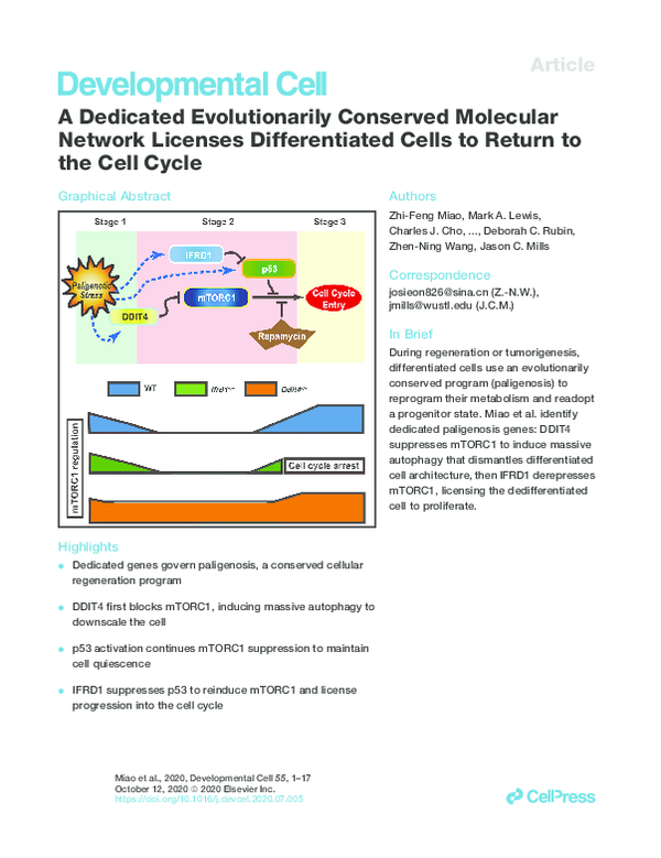 (PDF) A Dedicated Evolutionarily Conserved Molecular Network Licenses Differentiated Cells to ...