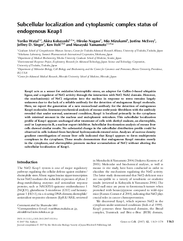 (PDF) Subcellular localization and cytoplasmic complex status of ...