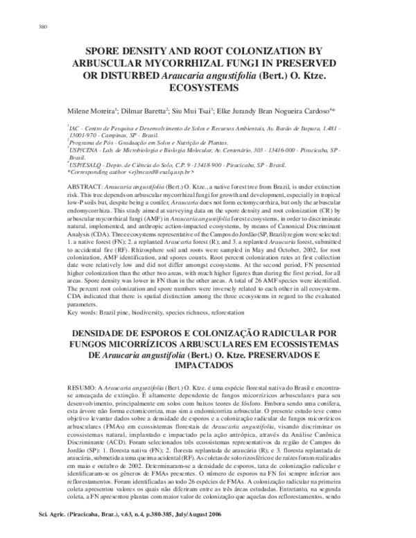(PDF) Spore density and root colonization by arbuscular mycorrhizal fungi in preserved or ...
