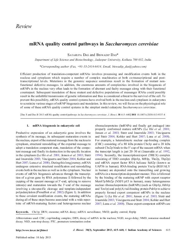 (PDF) mRNA quality control pathways in Saccharomyces cerevisiae
