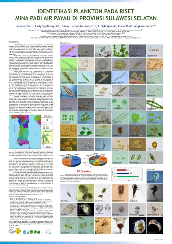 (PDF) PANDU Plankton Project 2020 - 70 Species of Plankton in Brackish ...