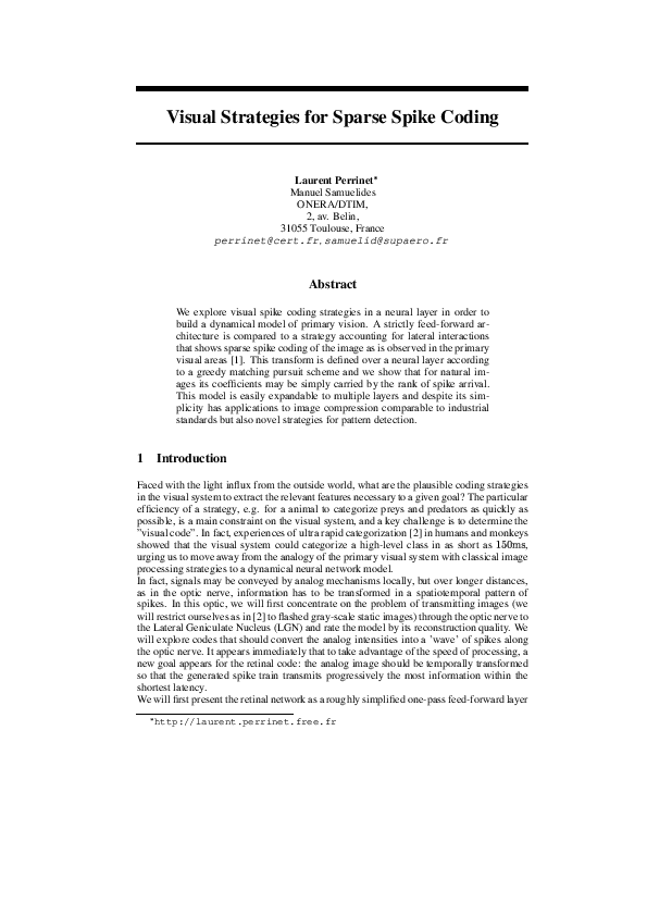 (PDF) Visual strategies for sparse spike coding