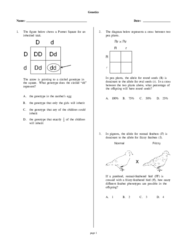 (PDF) Genetics Test