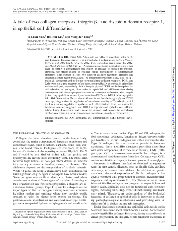 (PDF) A tale of two collagen receptors, integrin 1 and discoidin domain ...
