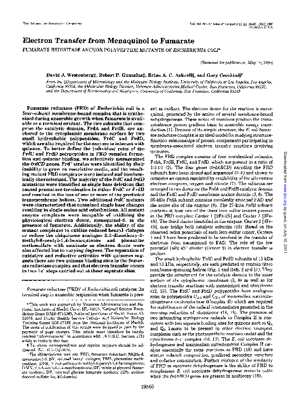 (PDF) Electron transfer from menaquinol to fumarate. Fumarate reductase ...