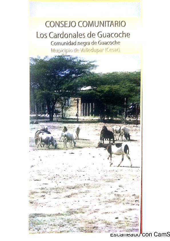(PDF) Datos básicos de los Consejos Comunitarios de Comunidades Negras ...