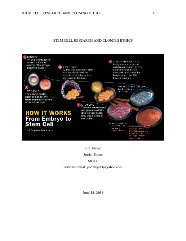 (DOC) Stem Cell Research and Cloning Ethics