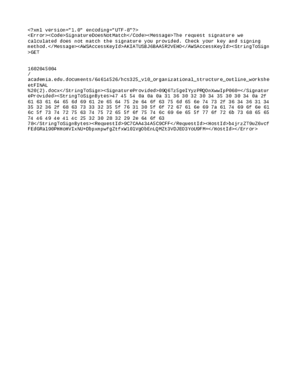 (DOC) Organizational Structure Outline