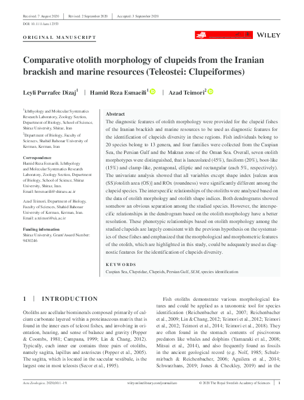 (PDF) Comparative otolith morphology of clupeids from the Iranian