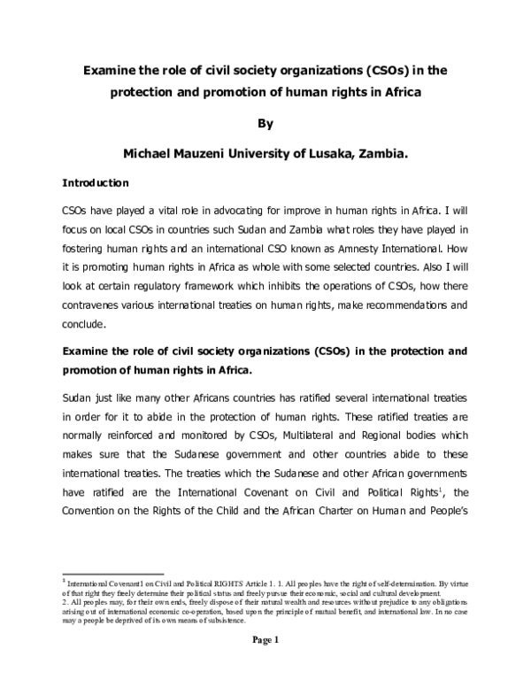 (DOC) Examine the role of civil society organizations (CSOs) in the ...