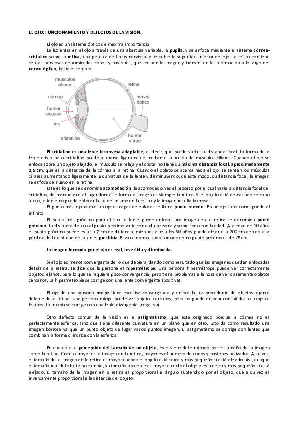 (PDF) EL OJO: FUNCIONAMIENTO Y DEFECTOS DE LA VISIÓN