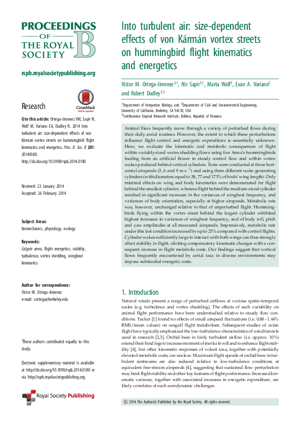 (PDF) Into turbulent air: size-dependent effects of von Karman vortex ...