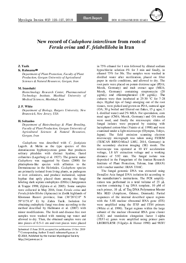 (PDF) New record of Cadophora interclivum from roots of Ferula ovina ...