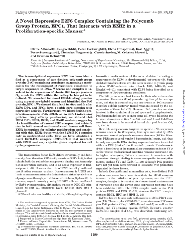 (PDF) A Novel Repressive E2F6 Complex Containing the Polycomb Group ...